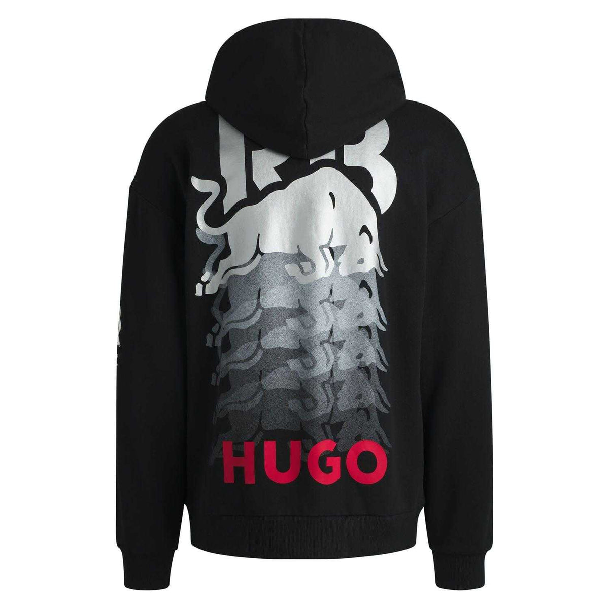 Hugo Mens Dynamic Branding Racing Bulls Hoodie | Discounts on great Brands
