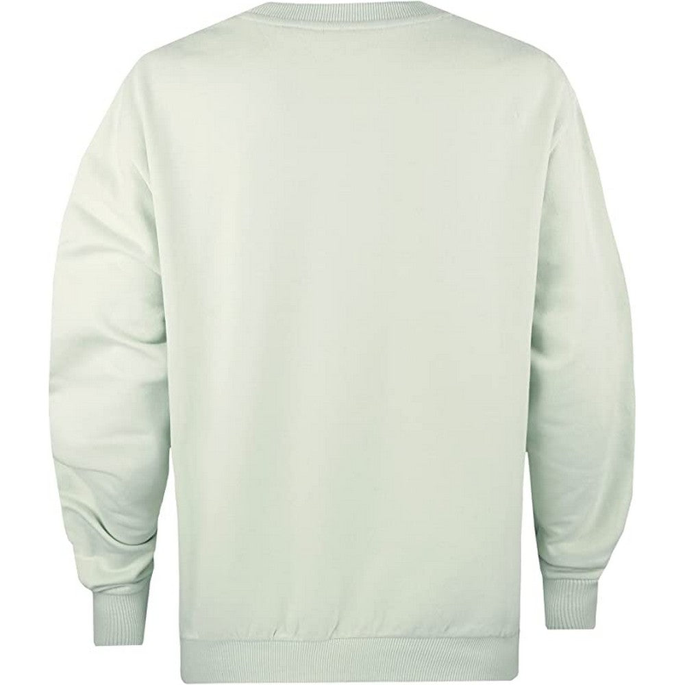Mickey Mouse & Friends Womens/Ladies Line Up Sweatshirt | Discounts on ...